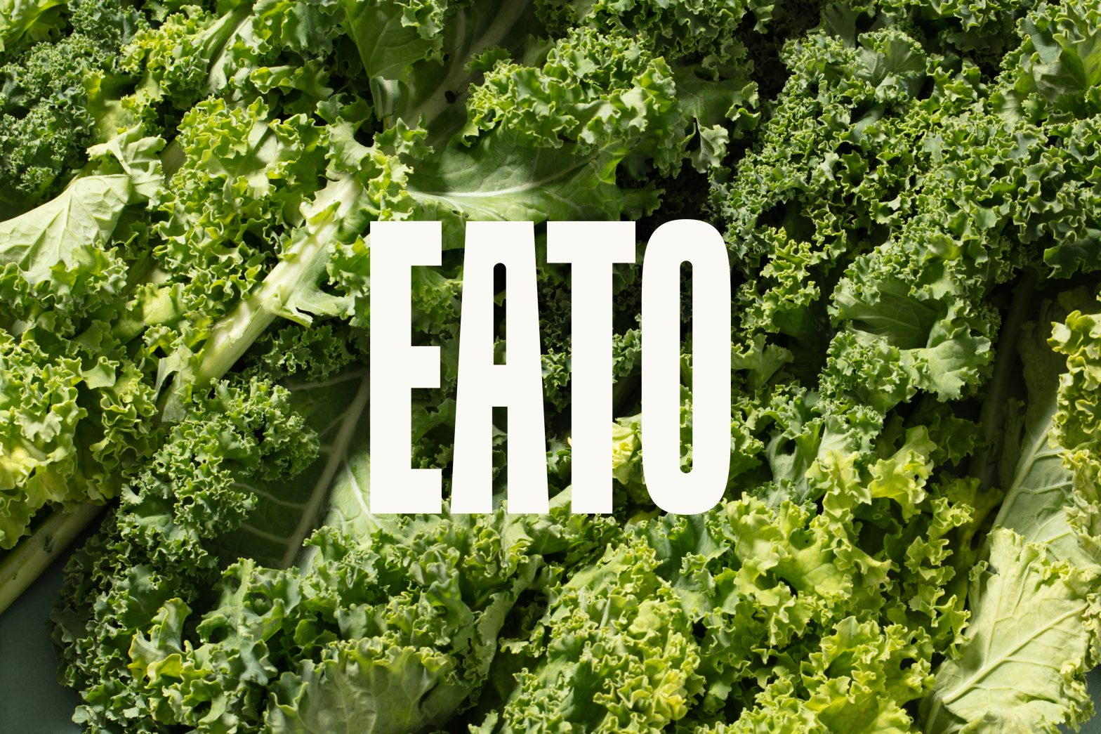 La Mansión | ESPINA STUDIO